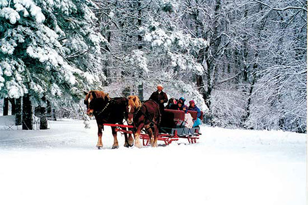 Sleigh ride